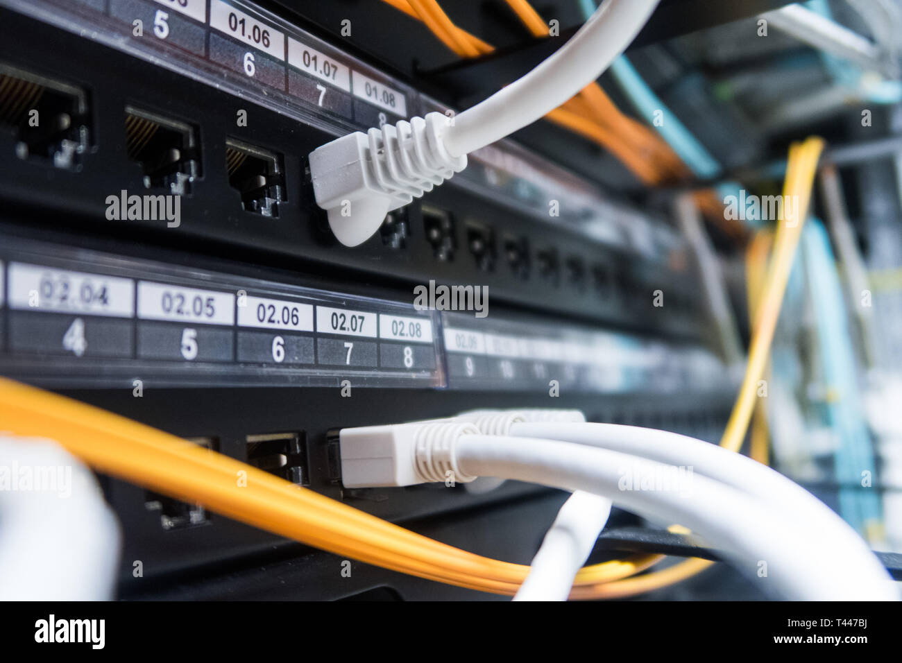 Network cables connected to switch - closeup of data center hardware ...
