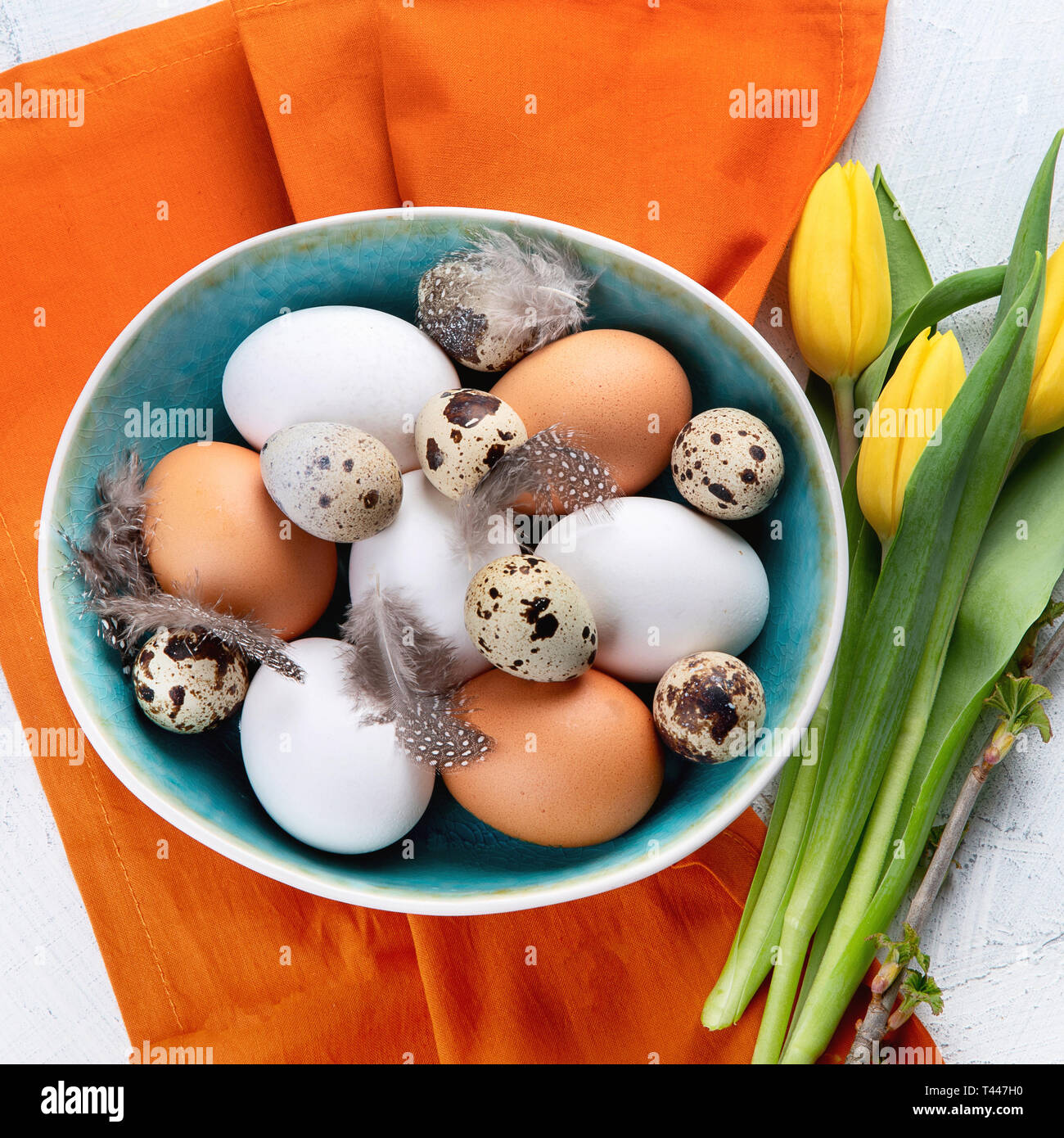 Fresh chicken quail eggs hi-res stock photography and images - Alamy