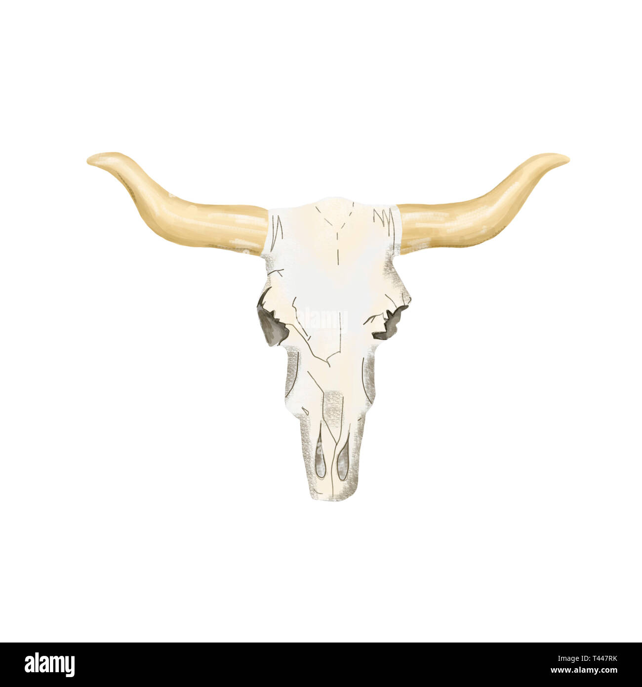 Skull digital art bone cow head tribal bull ox buttress calf boho style ...