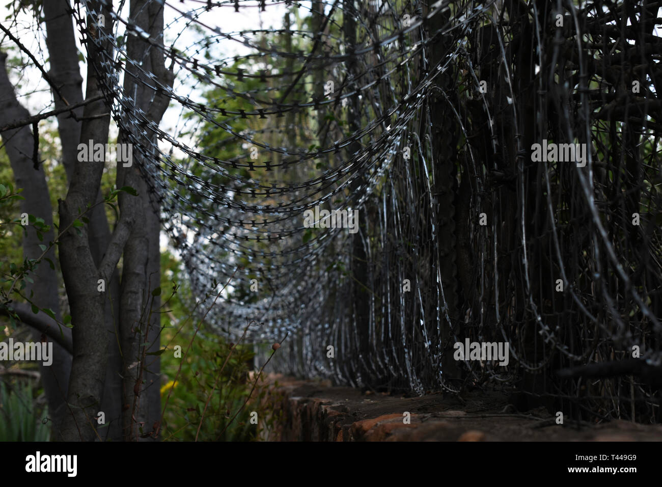Coiled Barbed Wire Home Perimeter Security Fence Stock Photo - Alamy