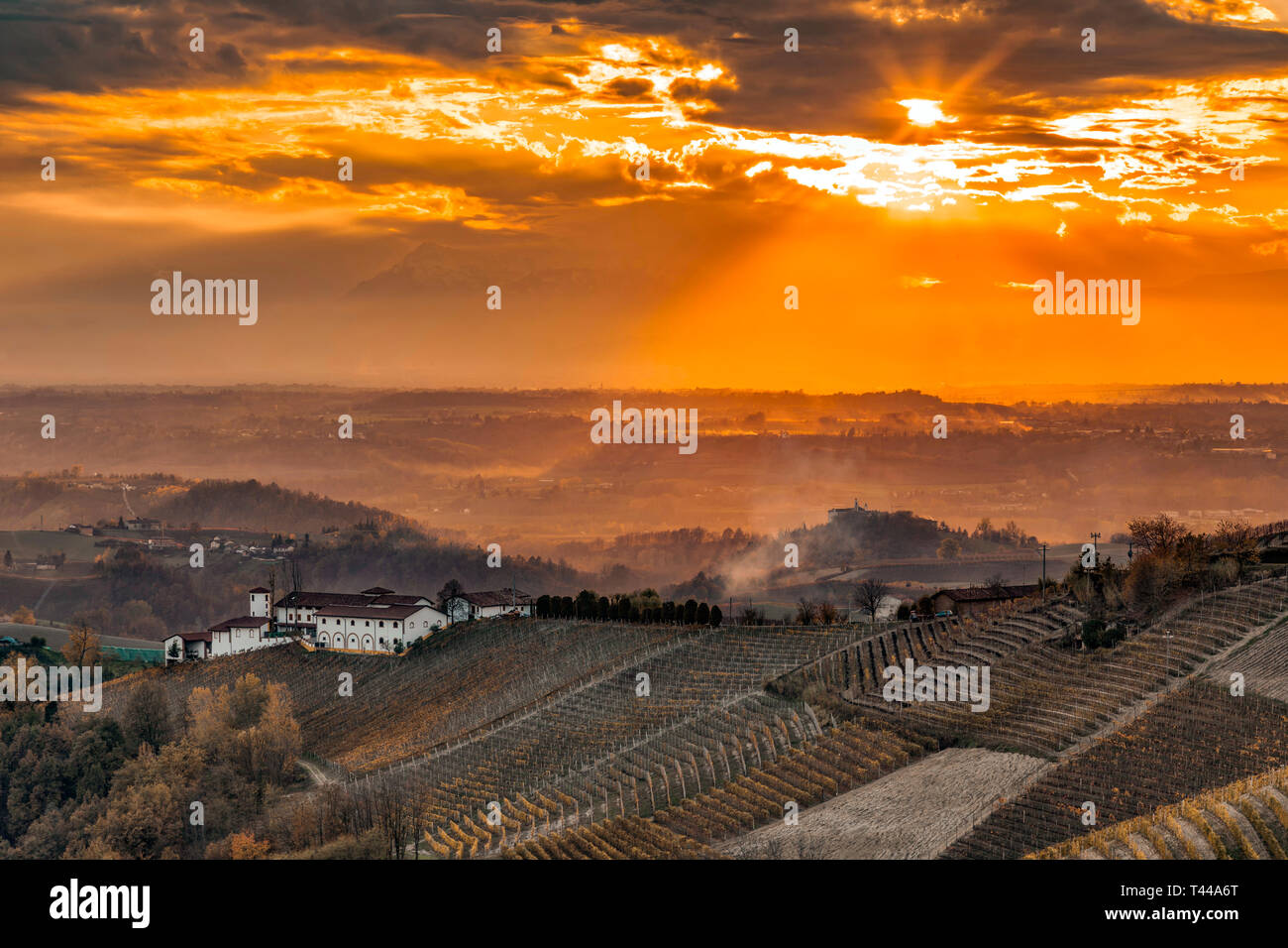 Monforte dalba piemonte italy hi-res stock photography and images - Alamy