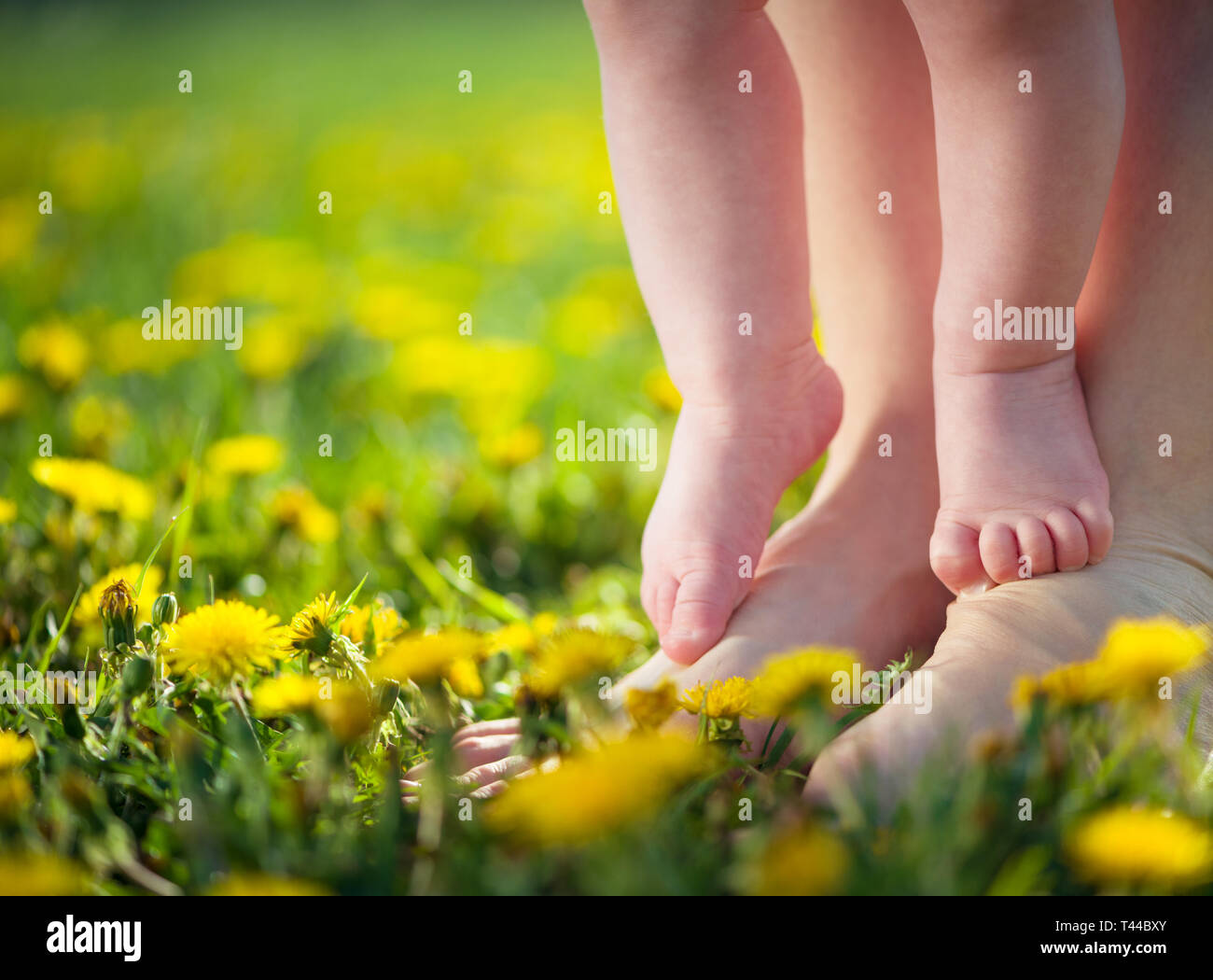 Kid walking grass barefoot hi-res stock photography and images - Alamy