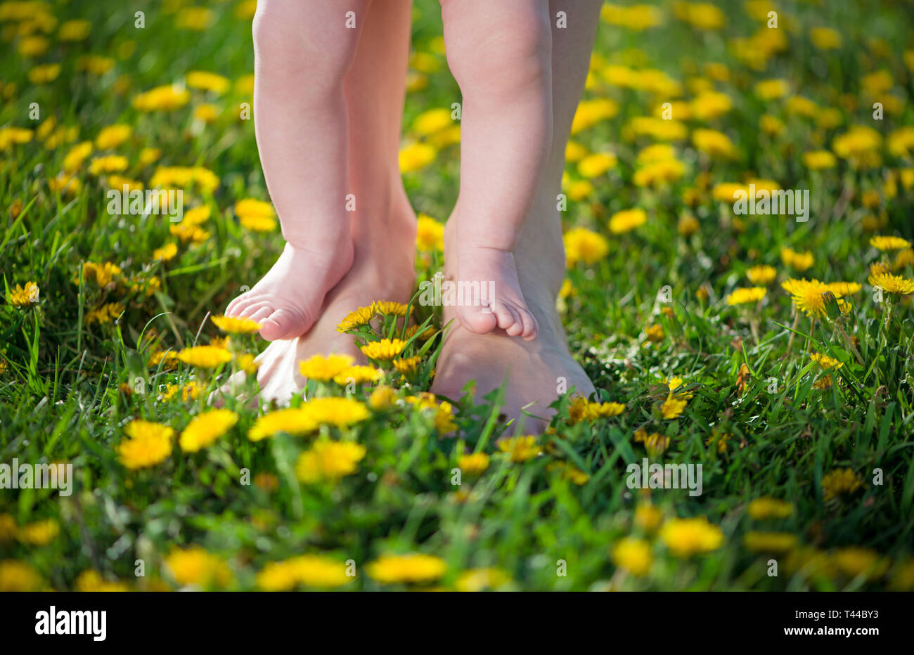 Kid walking grass barefoot hi-res stock photography and images - Alamy