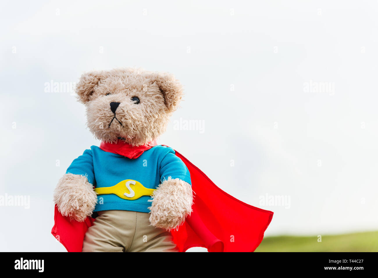 Brave bear hi-res stock photography and images - Alamy