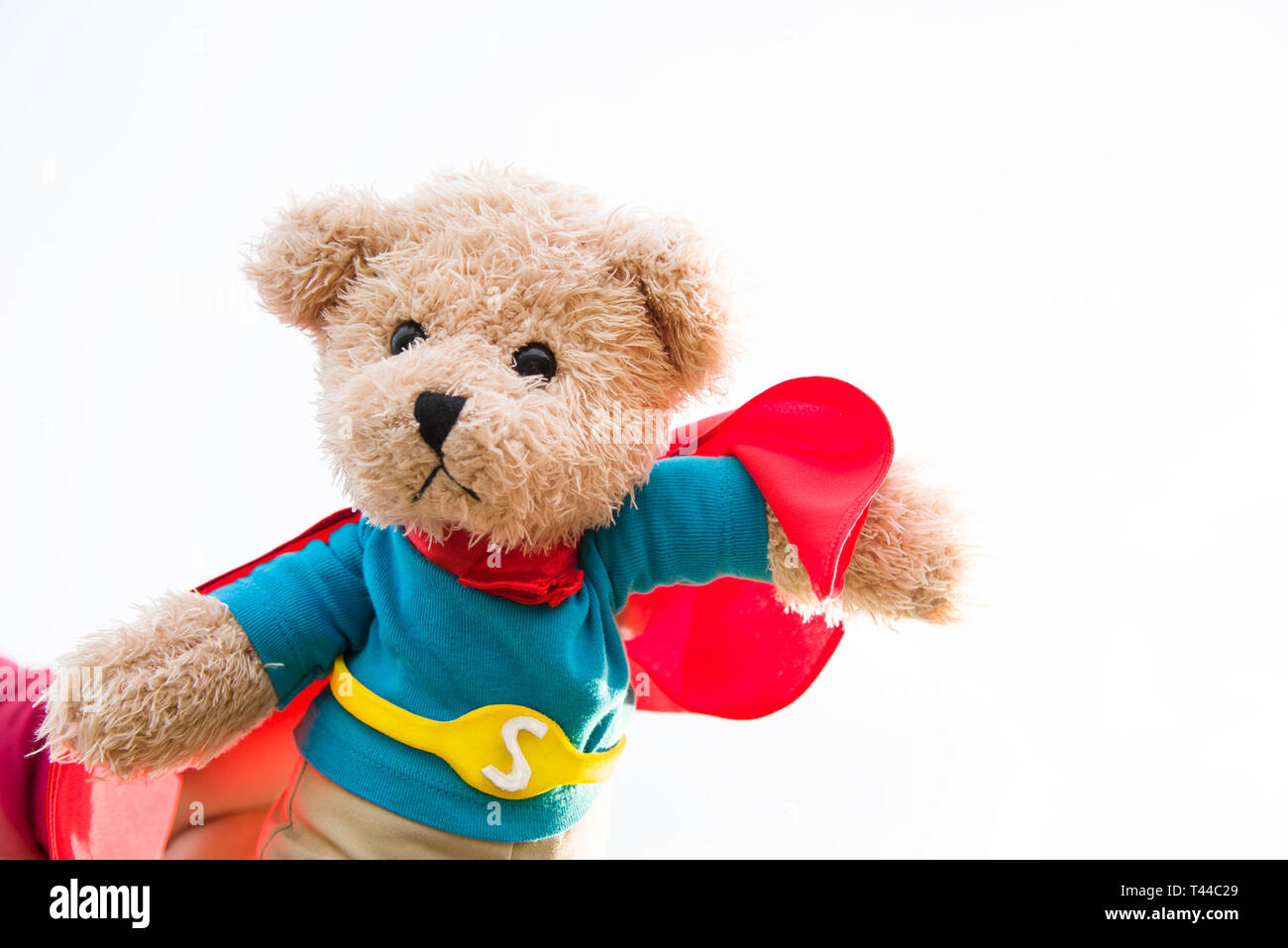 Brave bear hi-res stock photography and images - Alamy
