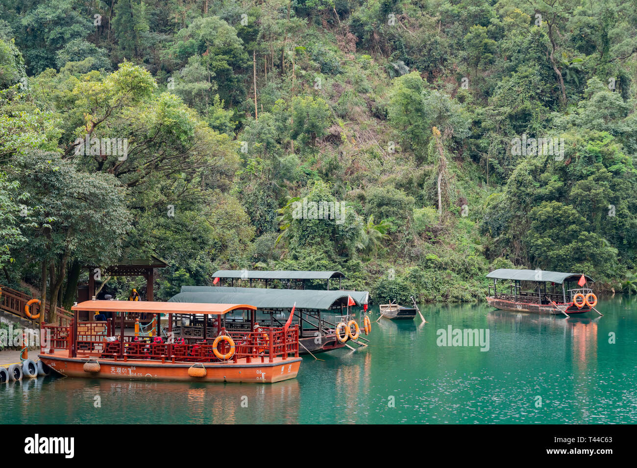 Dinghu Mountain National Nature Reserve High Resolution Stock ...