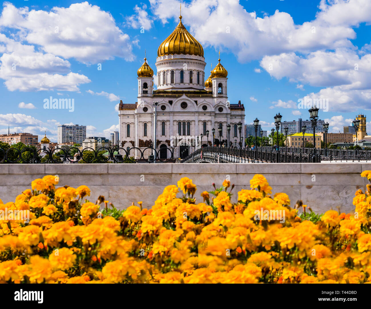 Christ flower hi-res stock photography and images - Alamy