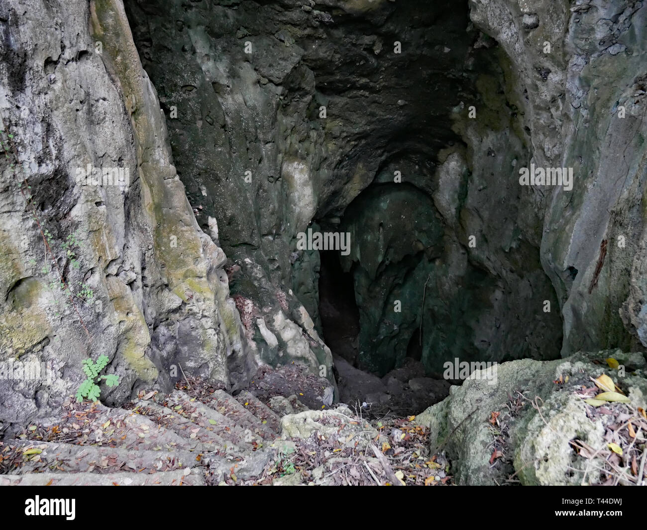 Battambang, Cambodia. Steps descending into the killing caves where ...
