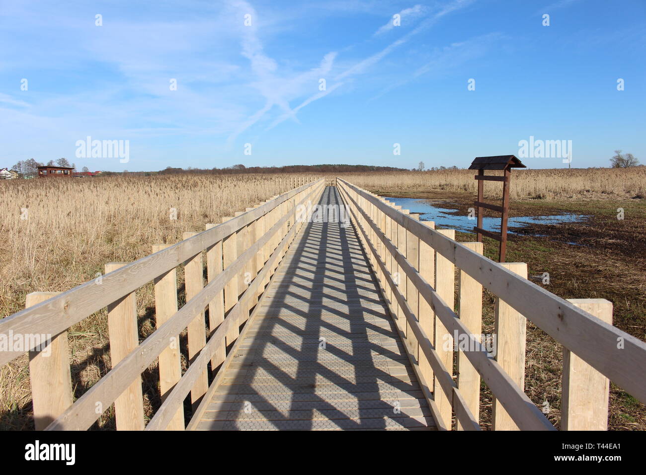 Laptop beach wallpaper hi-res stock photography and images - Alamy