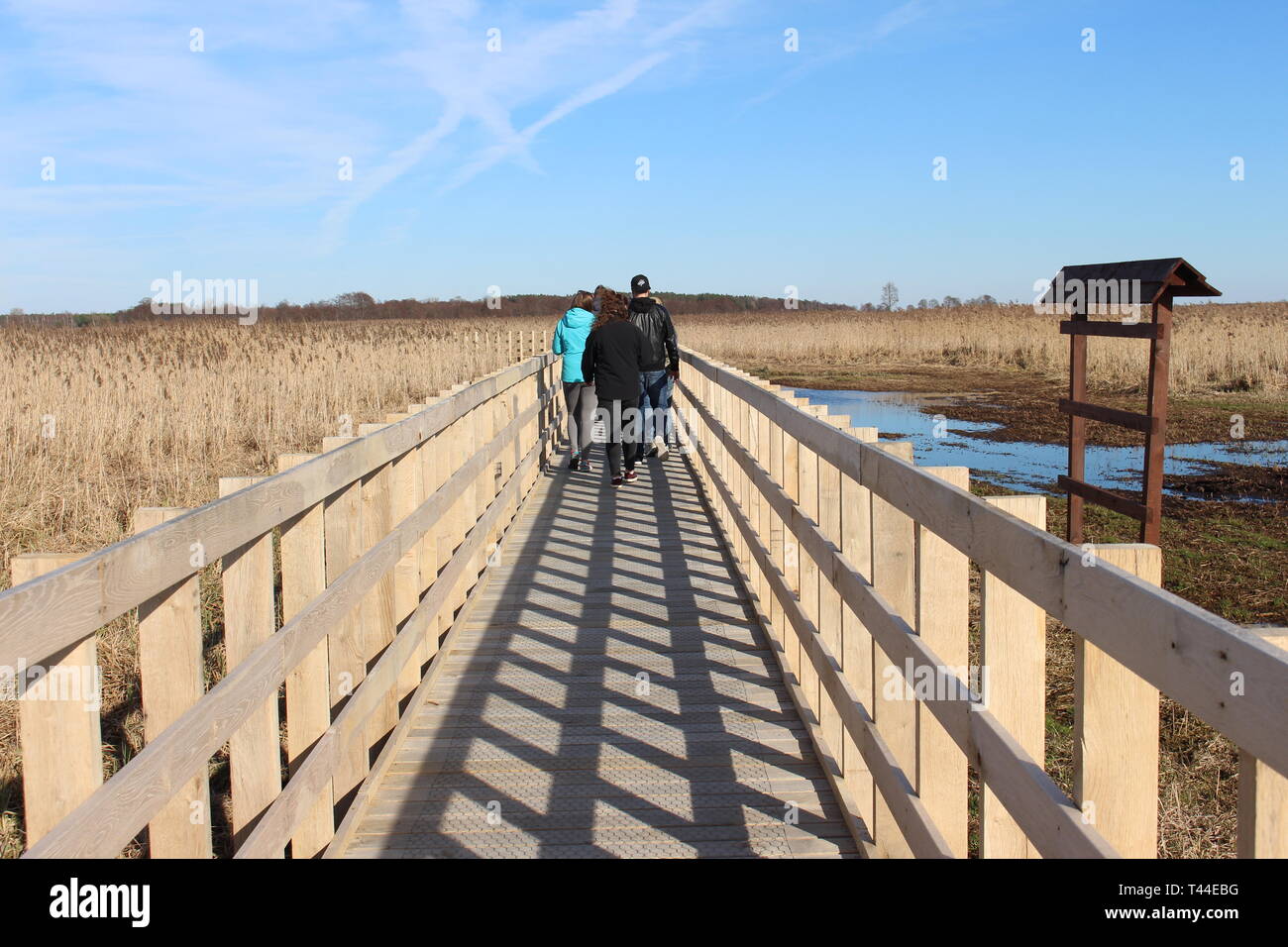 Laptop beach wallpaper hi-res stock photography and images - Alamy