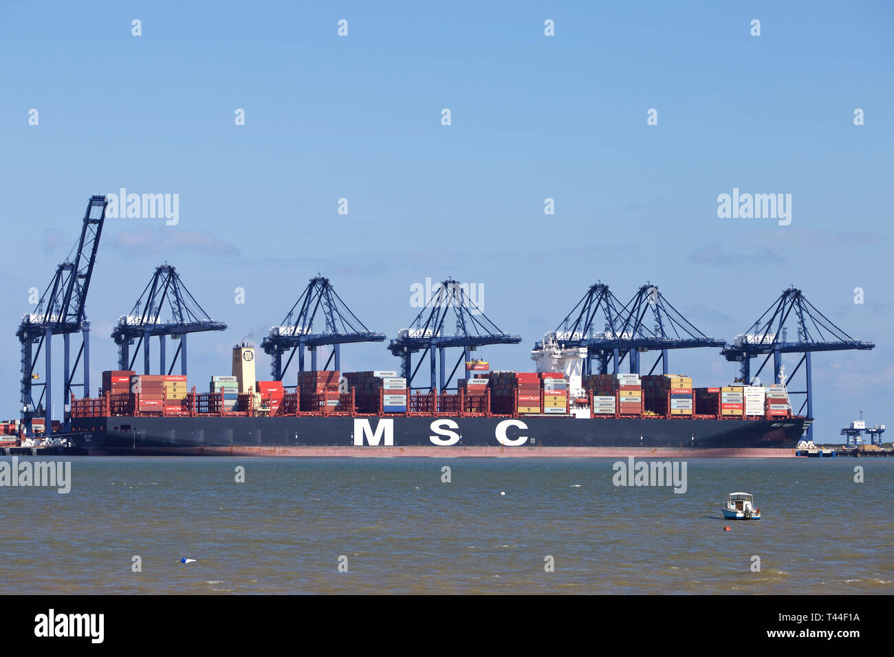 Container ship MSC Reef docked at Trinity Terminal, Port of Felixstowe ...
