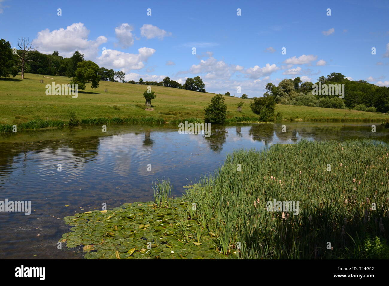 The River at Compton Verney House, Compton Verney, Kineton ...