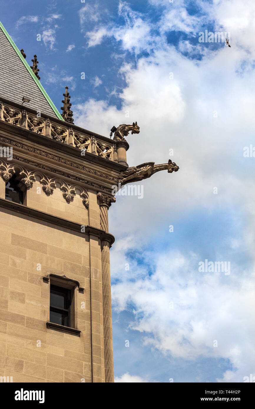 Two gargoyles seem to scream into the void, as a bird flies overhead ...