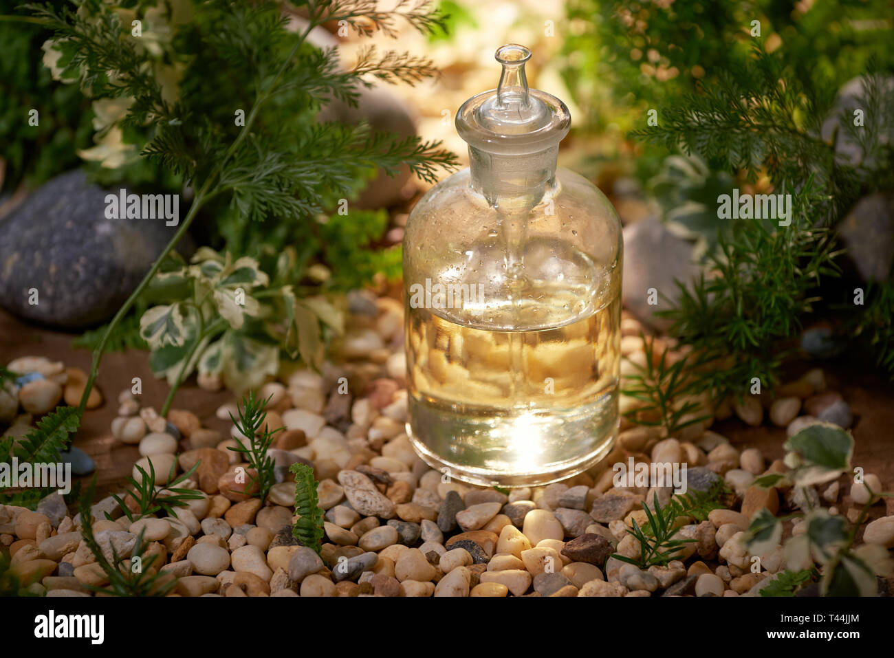 Scientist with natural drug research, Natural organic botany and ...