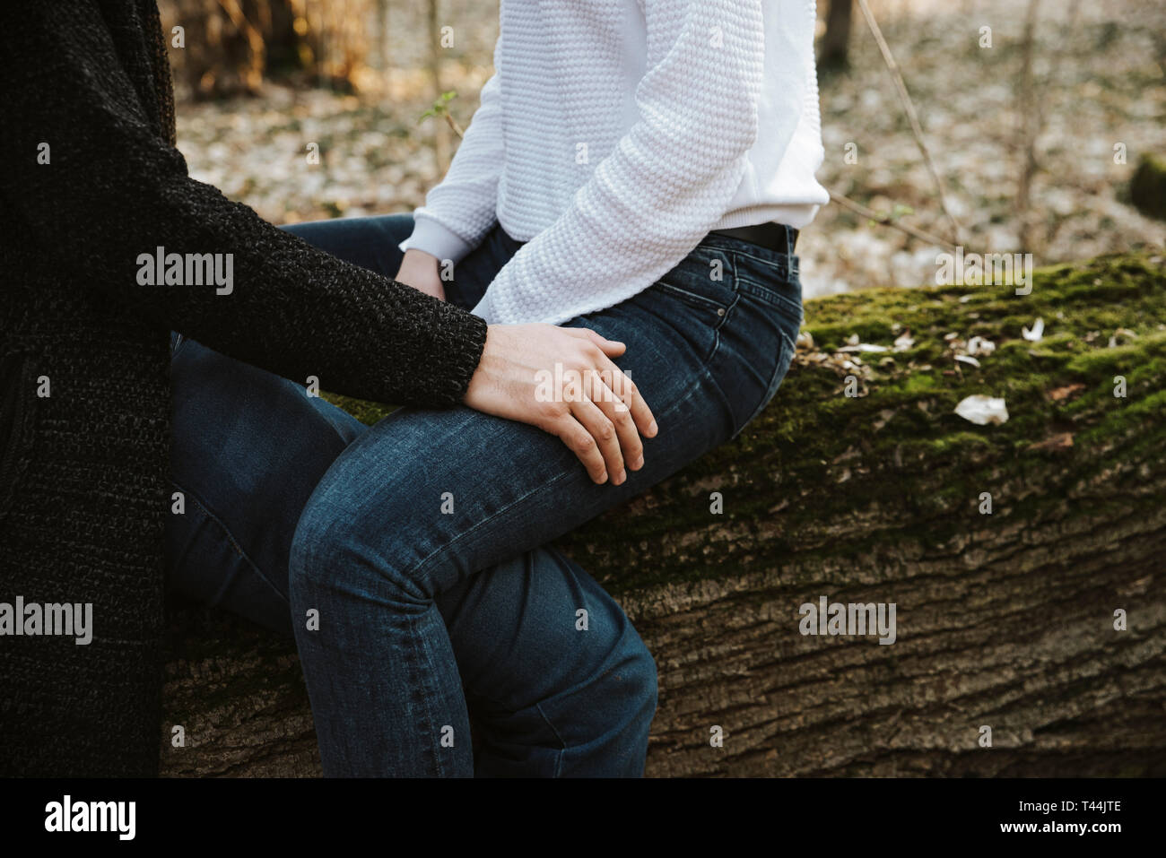 love in the forest Stock Photo - Alamy