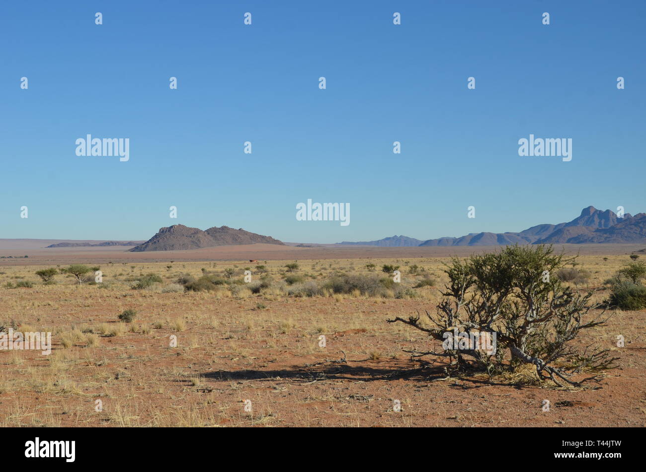 Beautiful landscape view in Namibia, Africa Stock Photo - Alamy