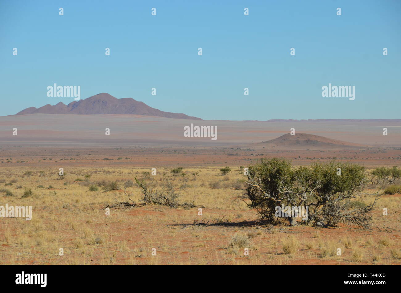 Beautiful landscape view in Namibia, Africa Stock Photo - Alamy