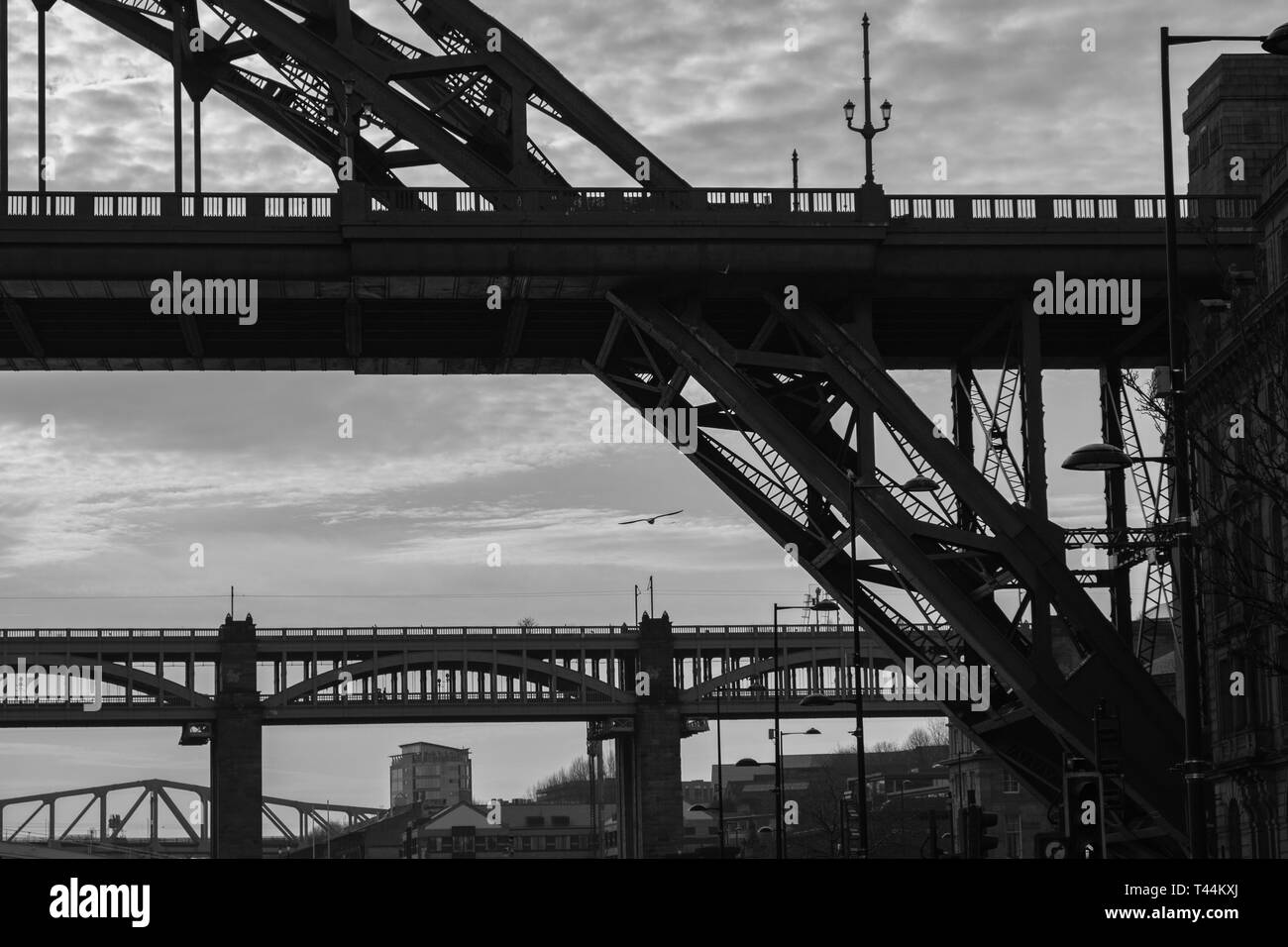 Silhouette of tyne bridge Black and White Stock Photos & Images - Alamy