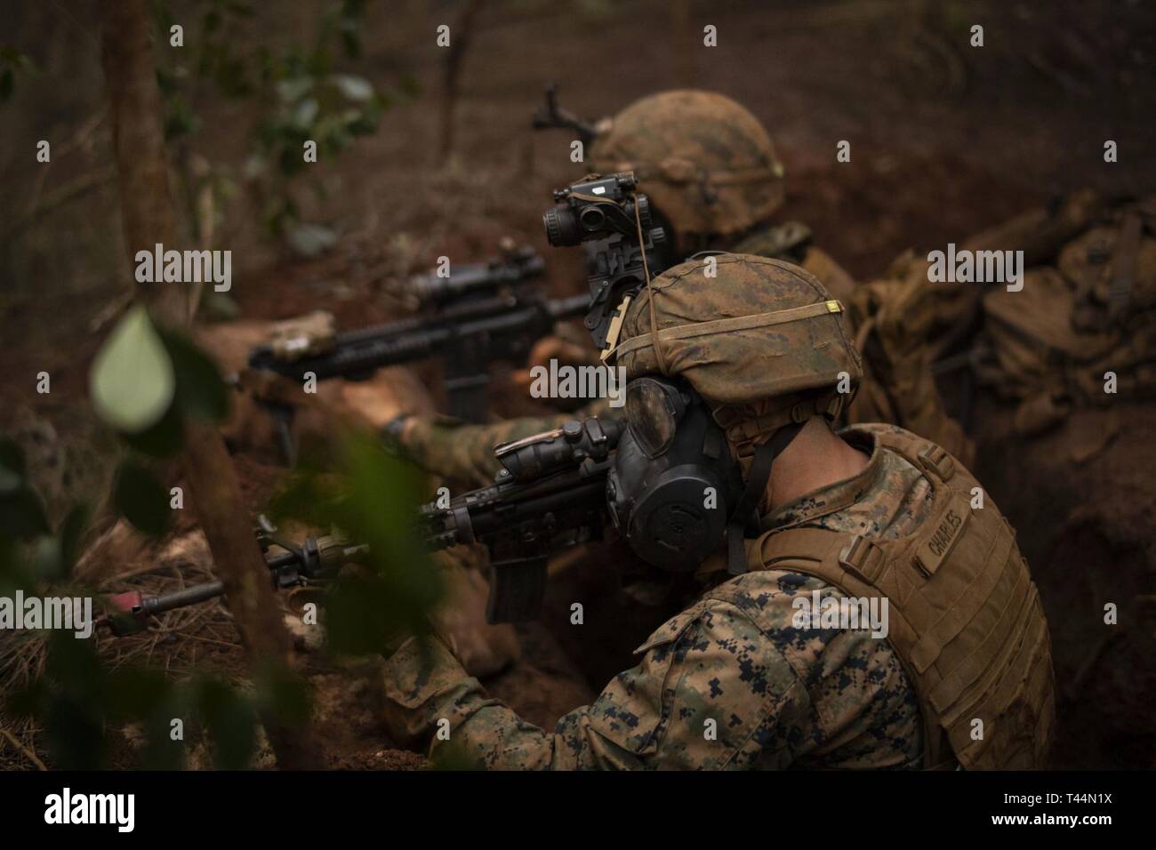 Advanced infantry marine course hi-res stock photography and images - Alamy
