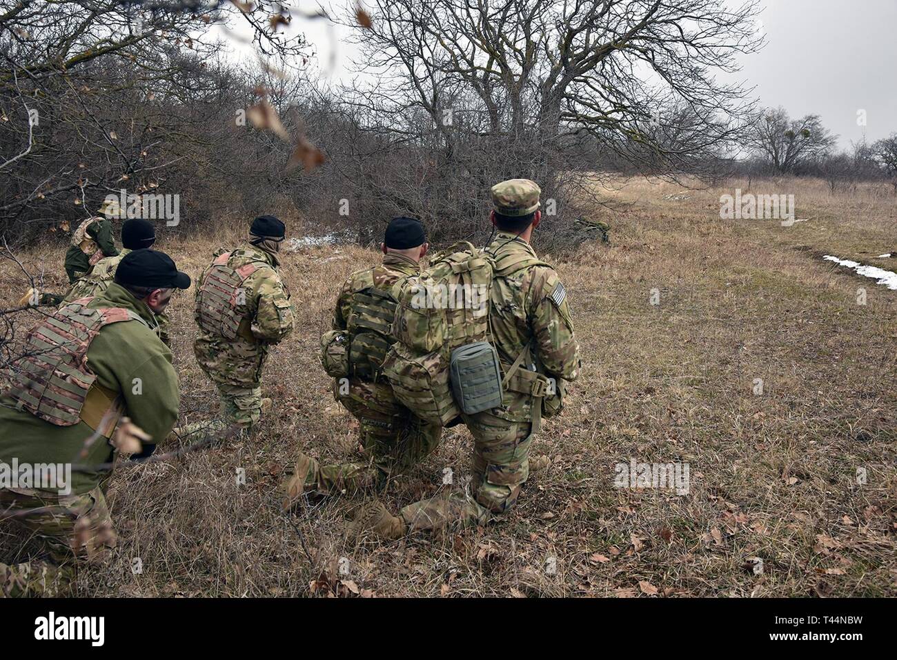 Georgian trainers and U.S. Soldiers from the 1st Armored Brigade Combat ...