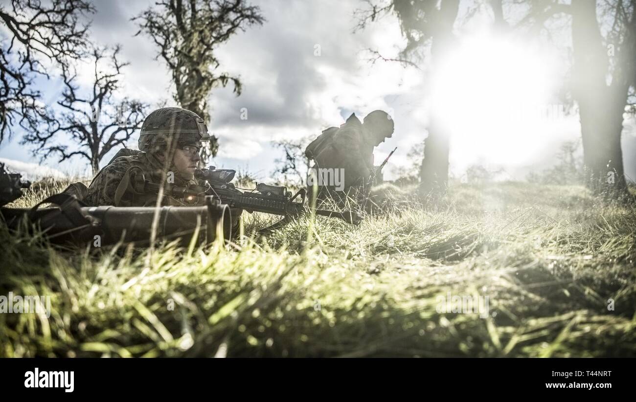 FORT HUNTER LIGGETT, CALIF. (Feb. 20, 2019) U.S. Marine Corps Lance Cpl ...