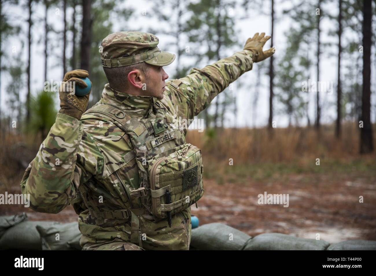 U.S. Army Sgt. Issac Mitchell, a Drill Sergeant of the 3rd Battalion ...
