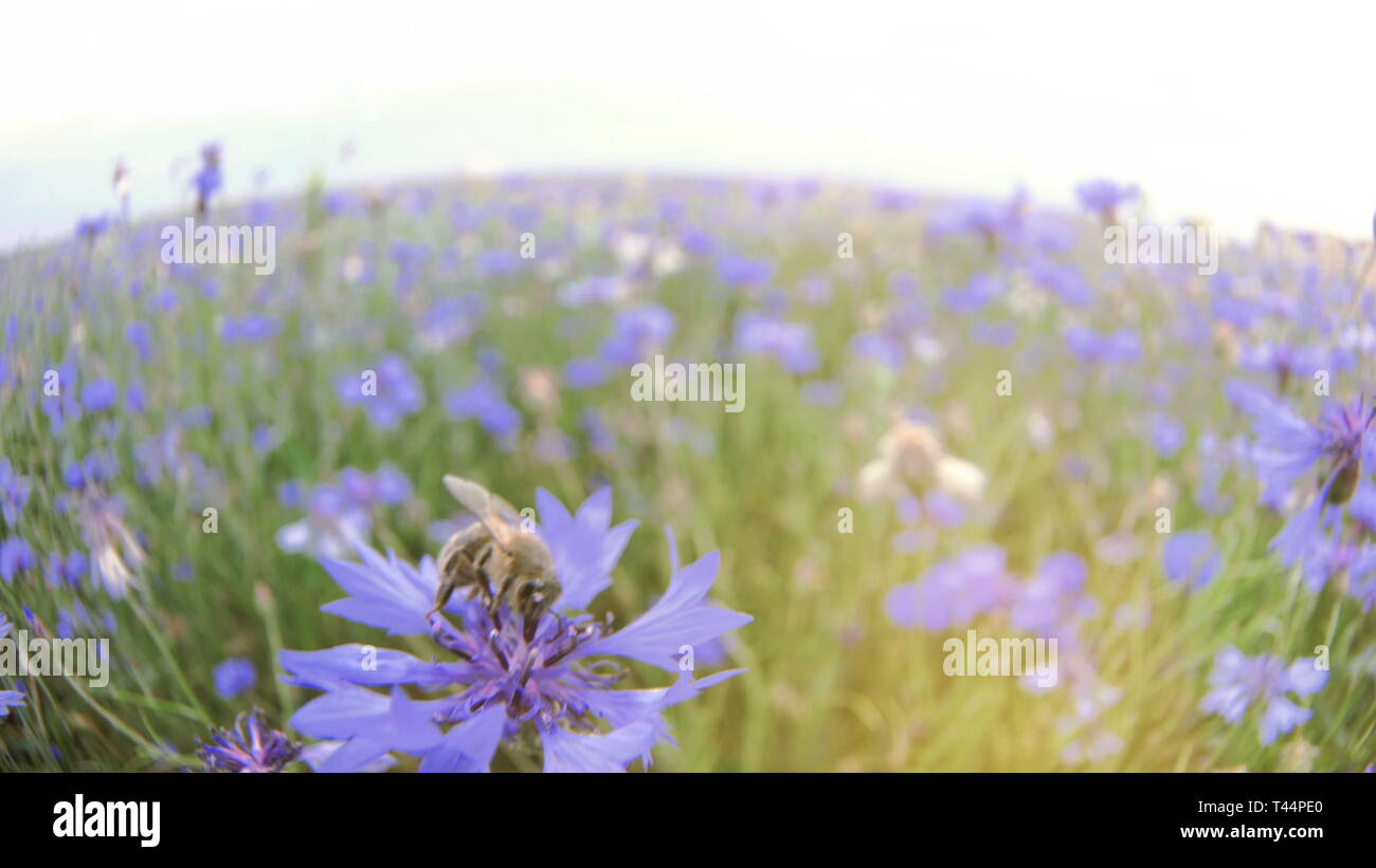 Slowmotion shot beautiful young woman hi-res stock photography and ...