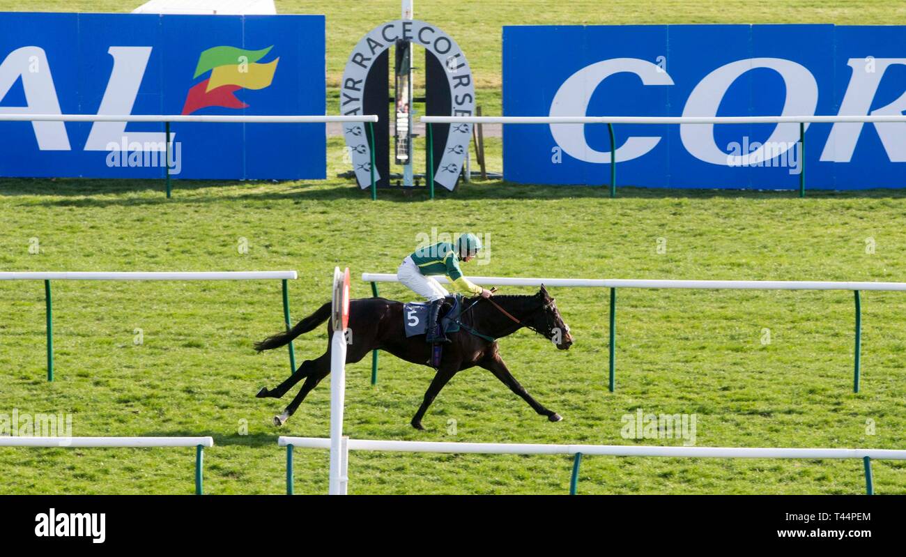 Coral scottish grand national day ayr racecourse hi-res stock ...