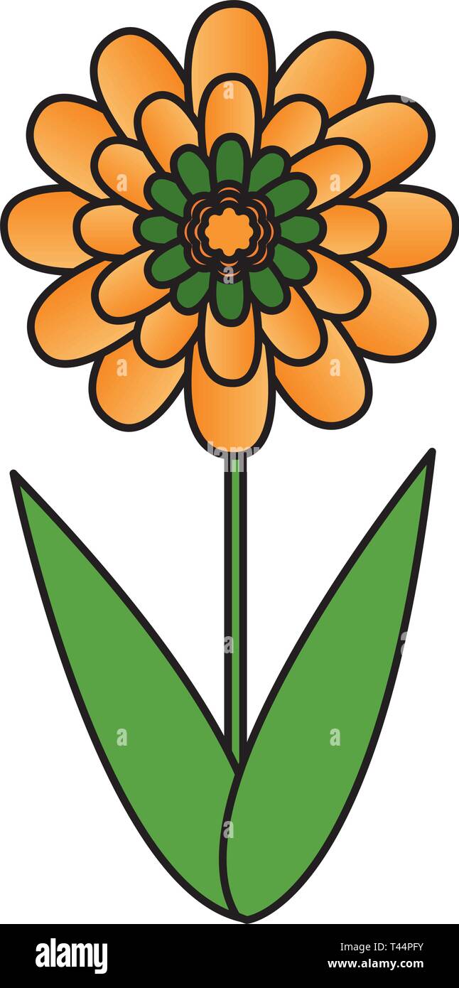 flower stem leaves Stock Vector Image & Art - Alamy