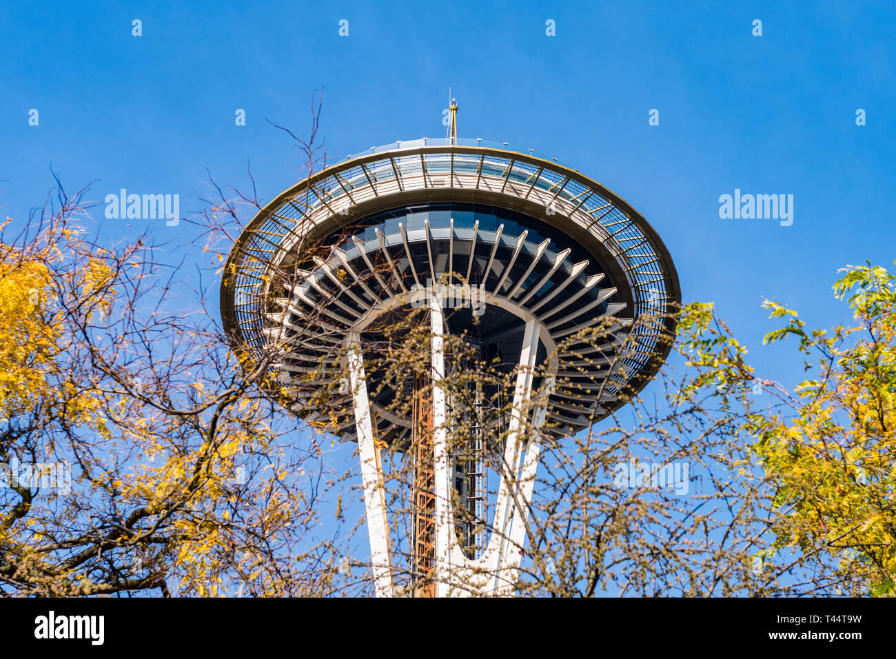 The Space Needle seen between the tree branches of Space Needle Park in ...