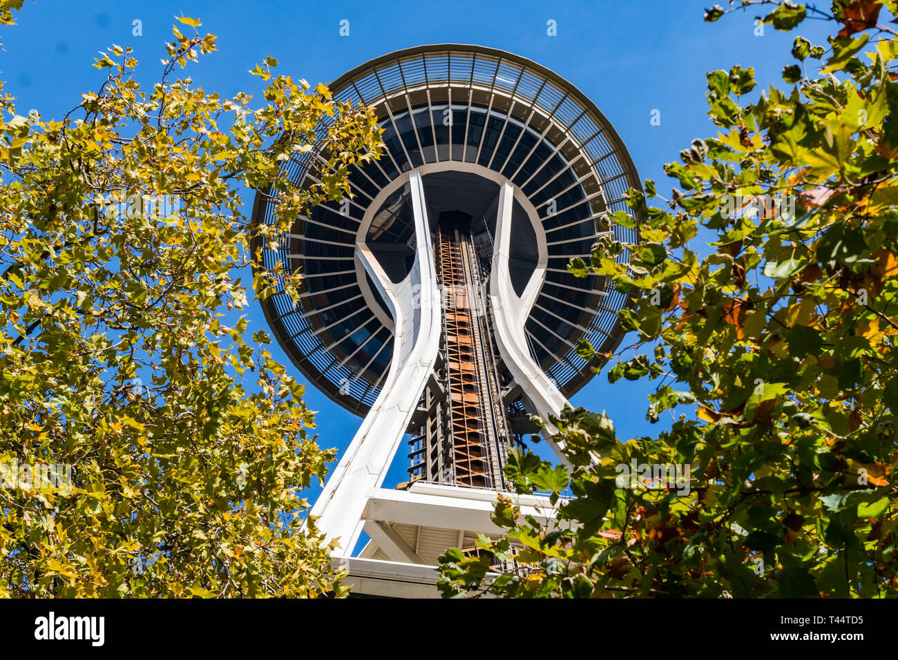 The Space Needle seen between the tree branches of Space Needle Park in ...