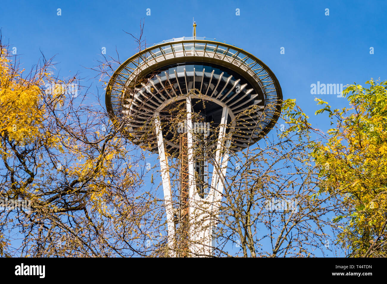 The Space Needle seen between the tree branches of Space Needle Park in ...