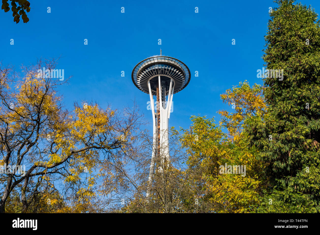 The Space Needle seen between the tree branches of Space Needle Park in ...
