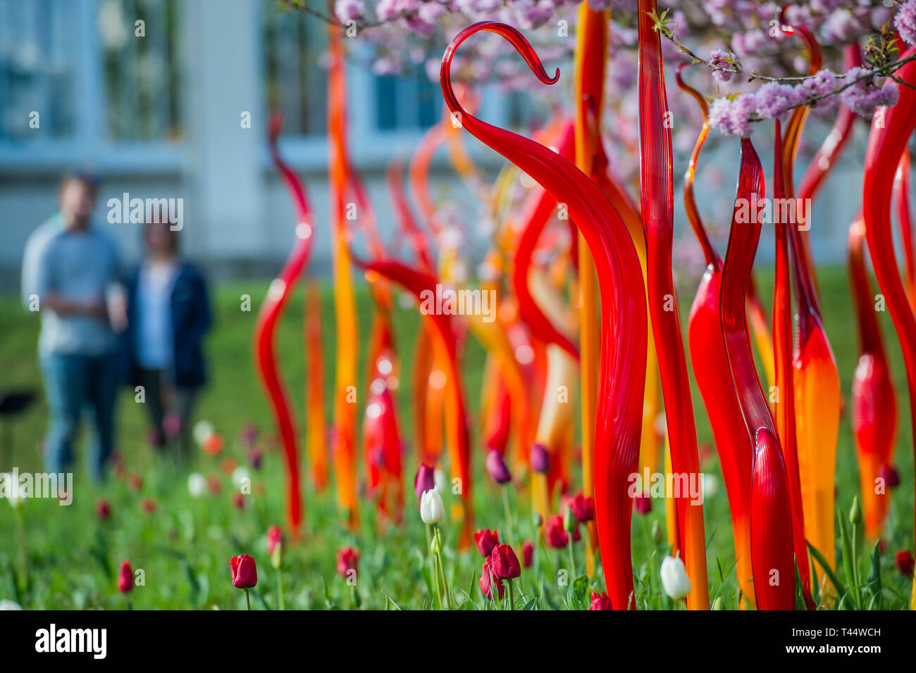 Cattails and Copper Birch reeds - Chihuly: Reflections on nature at Kew ...