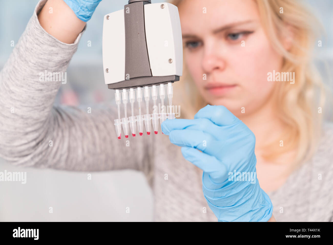 Close up of Young female scientist working in genetics laboratory with ...