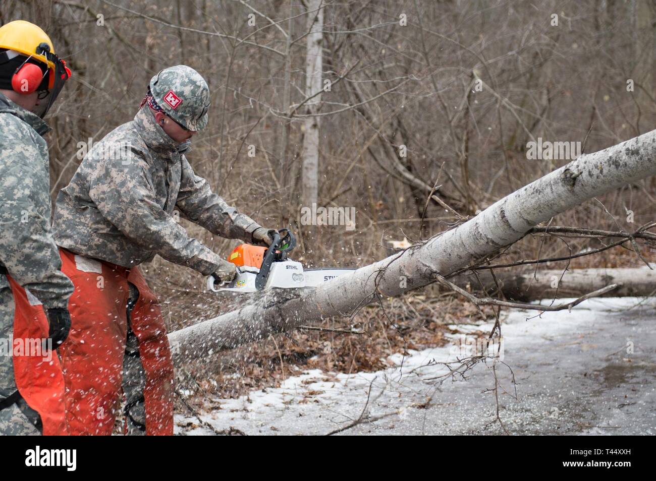 Chainsaw operations hi-res stock photography and images - Alamy