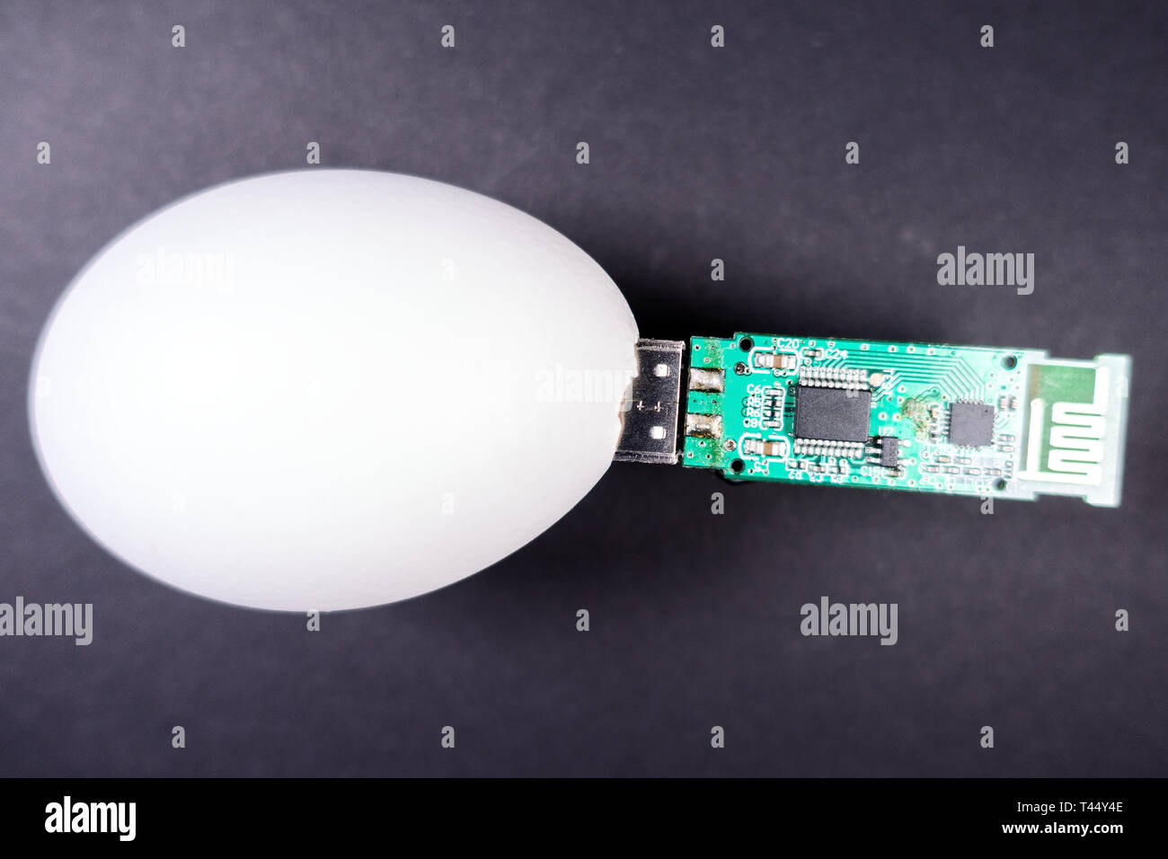 Usb flash card is connected with a chicken egg. concept of new ...