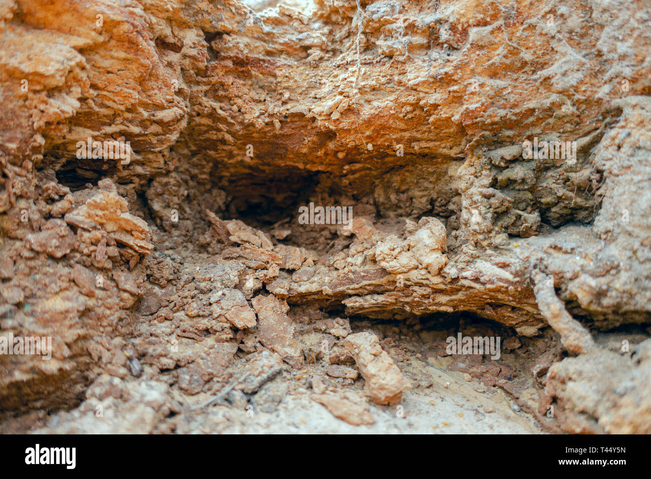 destroyed ground surface. texture of the soil. landslide. close-up ...