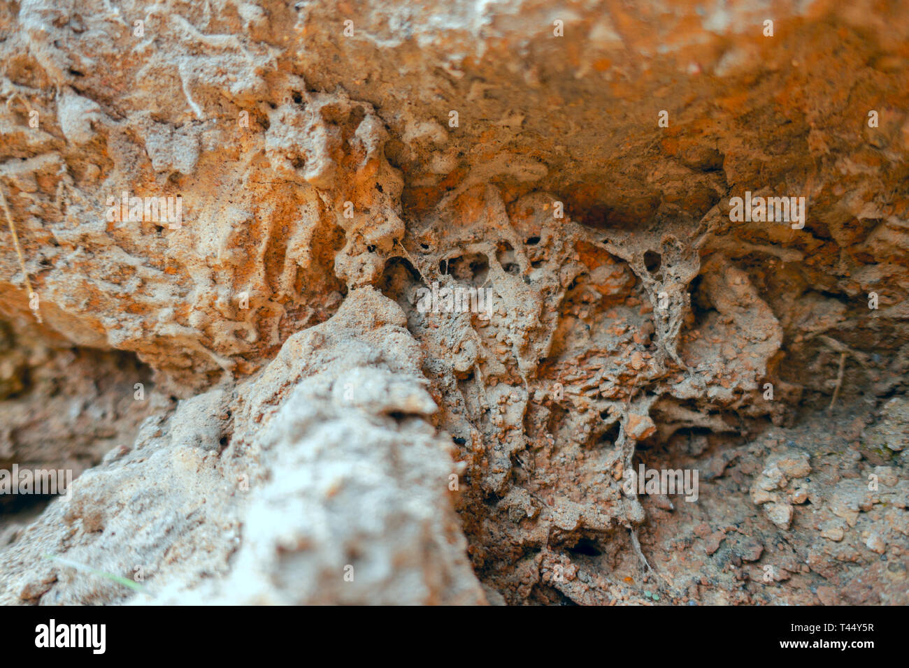 cracked ground surface. texture of the soil. landslide. close-up Stock ...