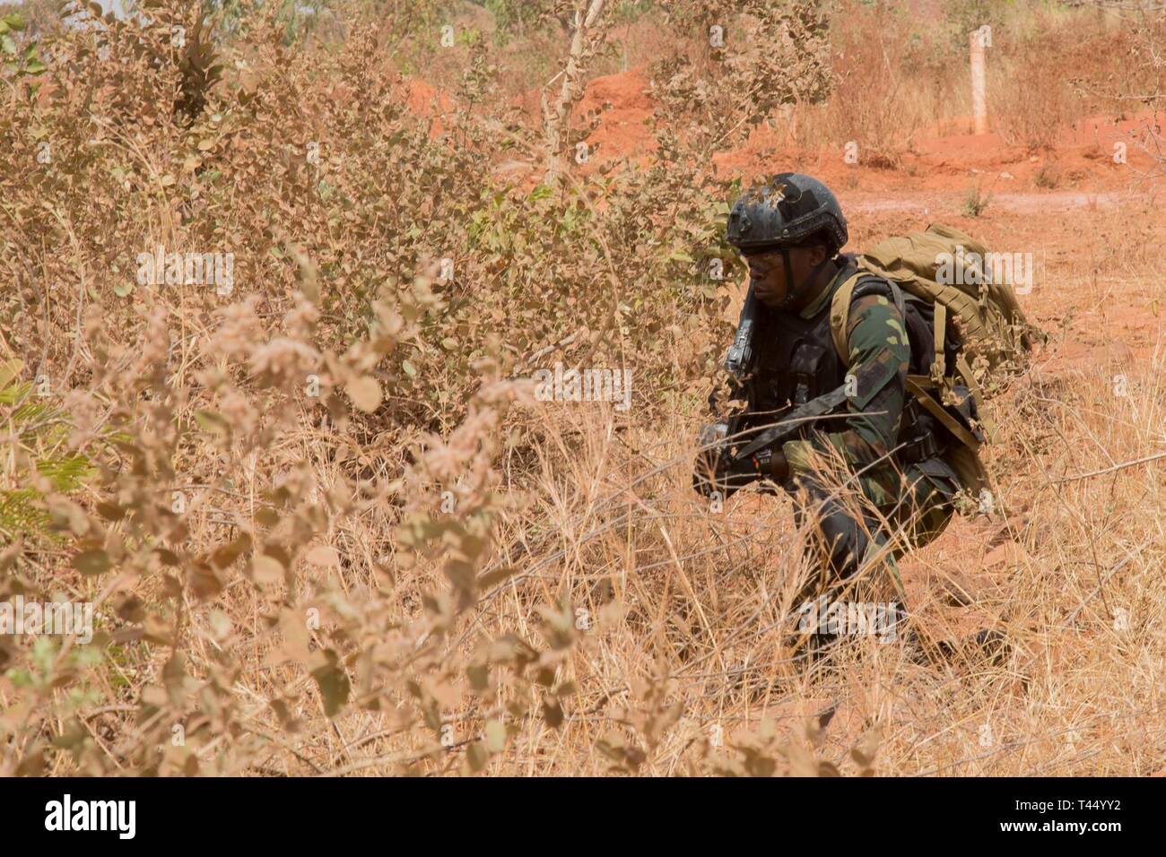 Cameroon soldiers, Burkina Faso soldier and Niger soldier train in a ...