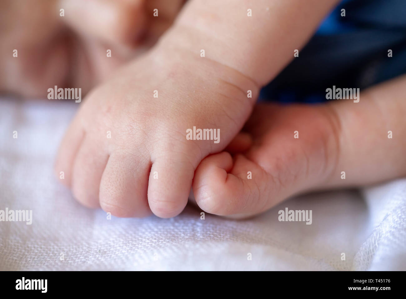New born baby hands lying on a bed while sleeping Stock Photo - Alamy