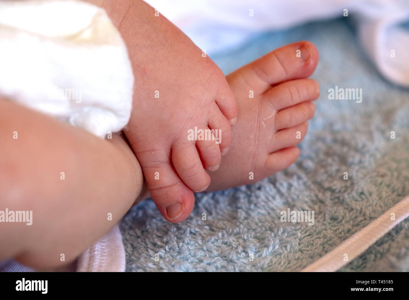 New born little legs, baby feet. Selective focus Stock Photo - Alamy