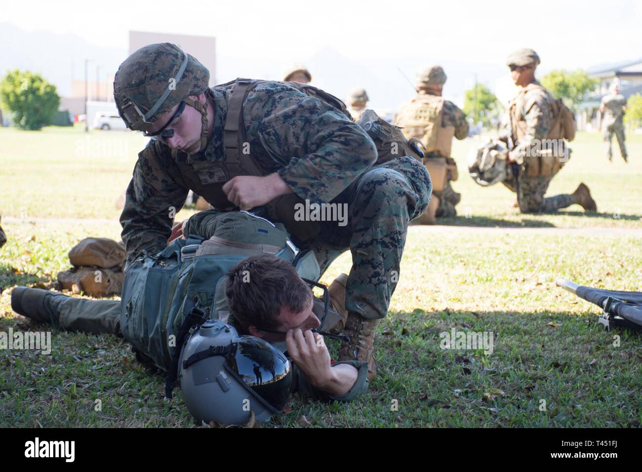 442d fighter wing hi-res stock photography and images - Alamy
