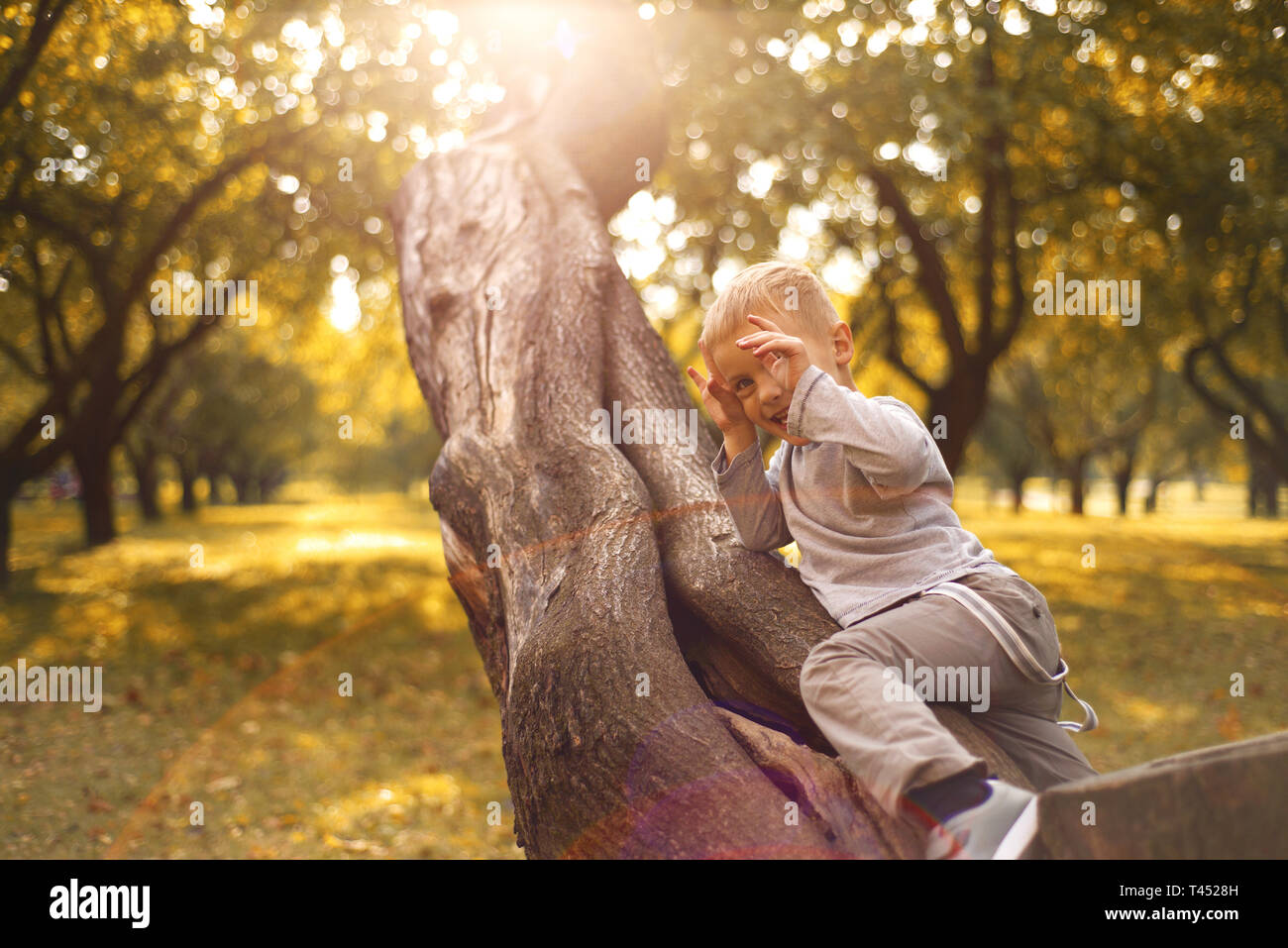 happy baby smiling. little boy climbed big tree and plays Stock Photo ...