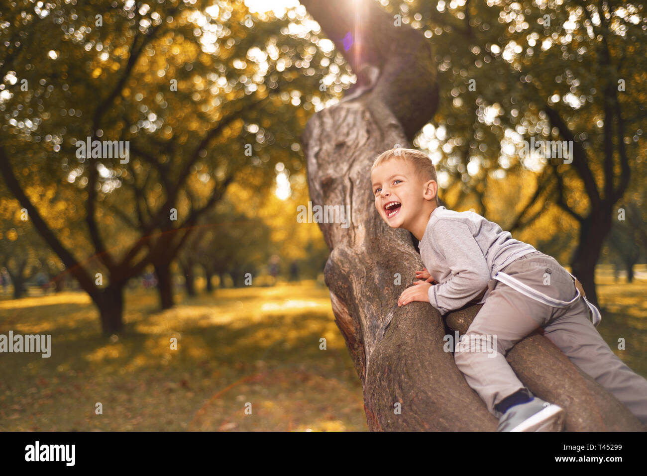 happy baby smiling. little boy climbed big tree and plays Stock Photo ...