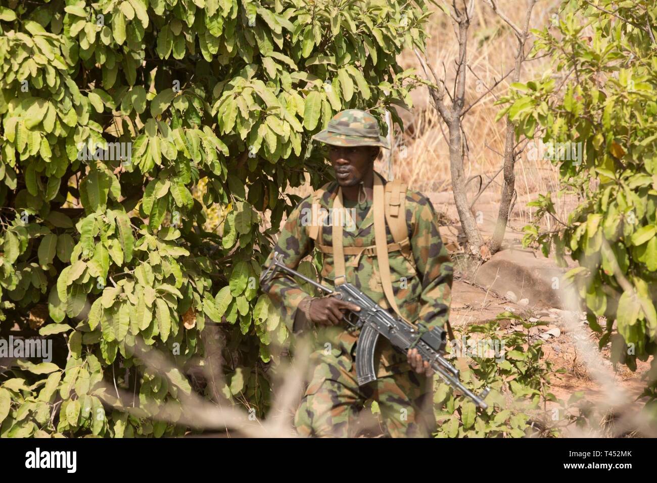 Cameroon soldiers, Burkina Faso soldiers and Niger soldiers train ...