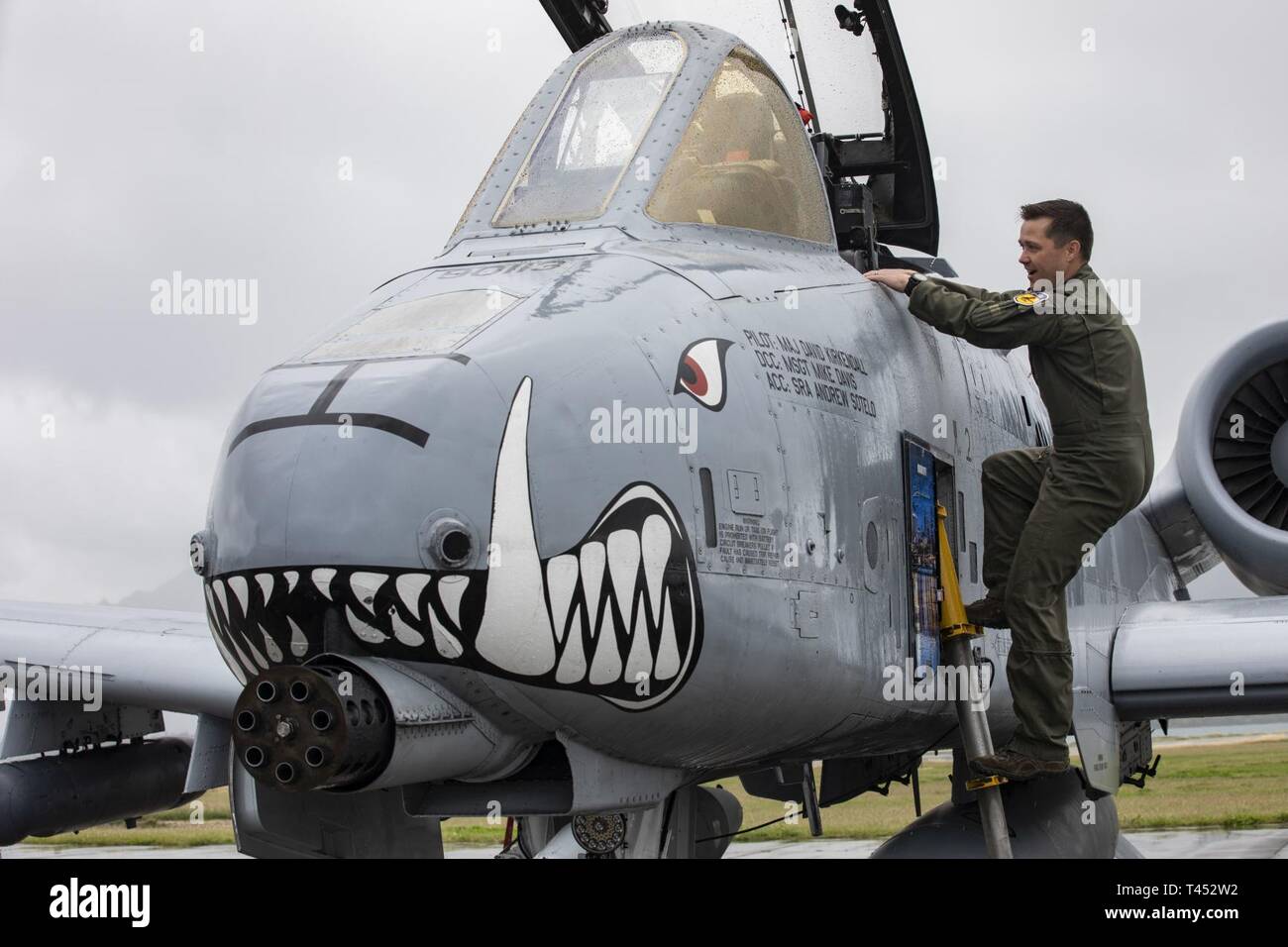 U.S. Air Force Lt. Col. Todd "Riddler" Riddle, commander, 303rd Fighter ...