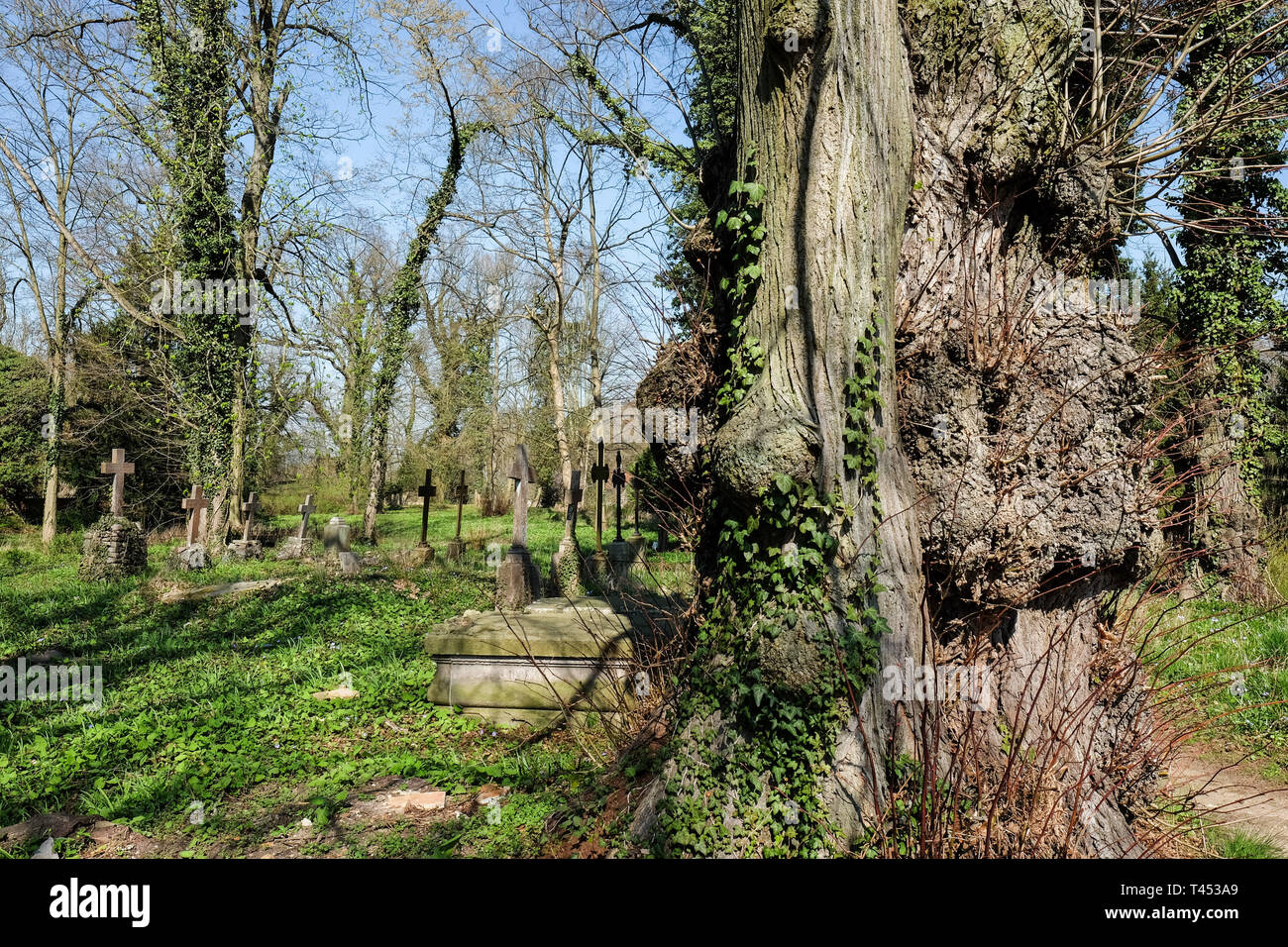 Lindow, Germany. 07th Apr, 2019. The park with the old monastery ...