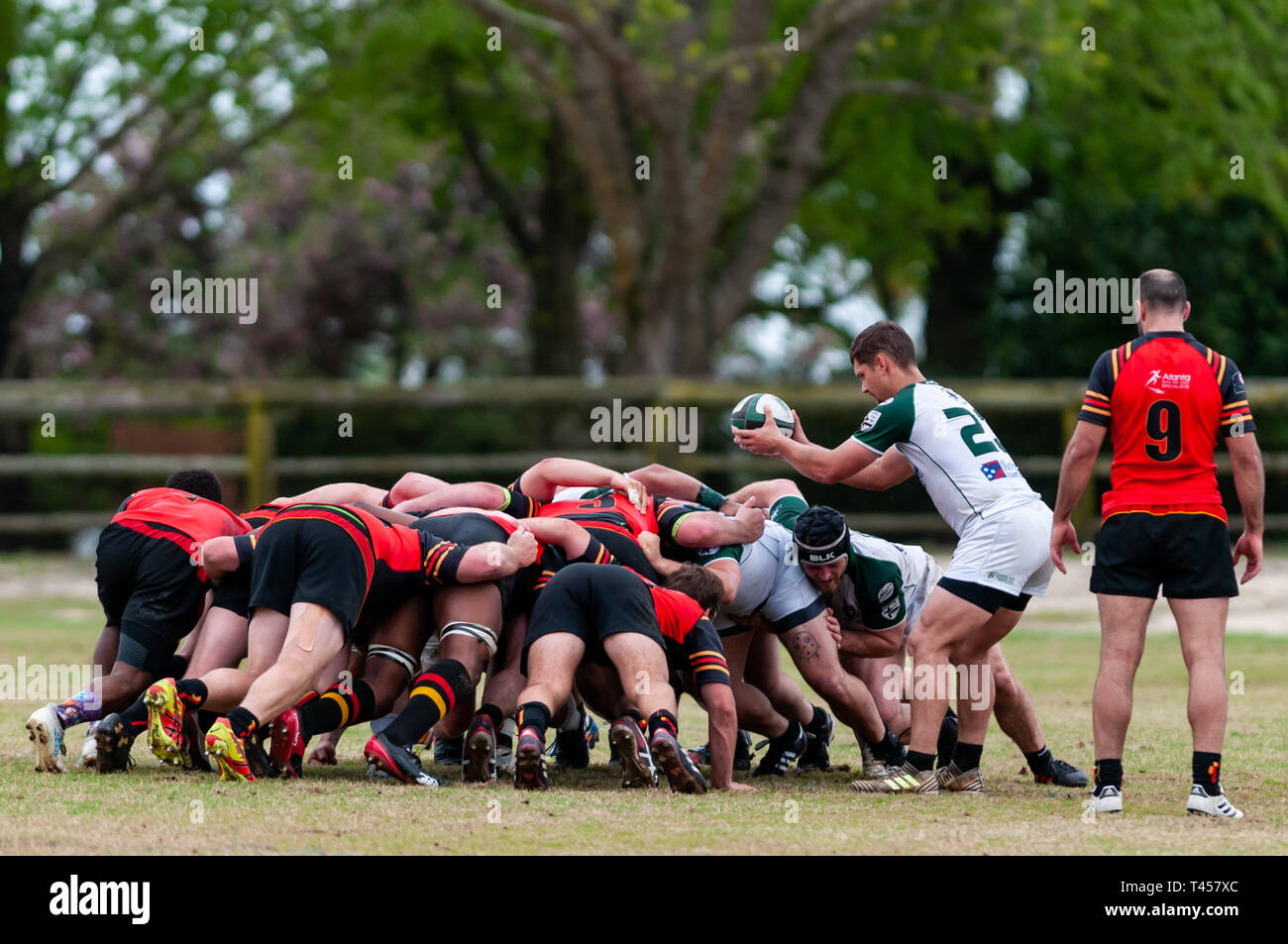 Mens backs hi-res stock photography and images - Alamy