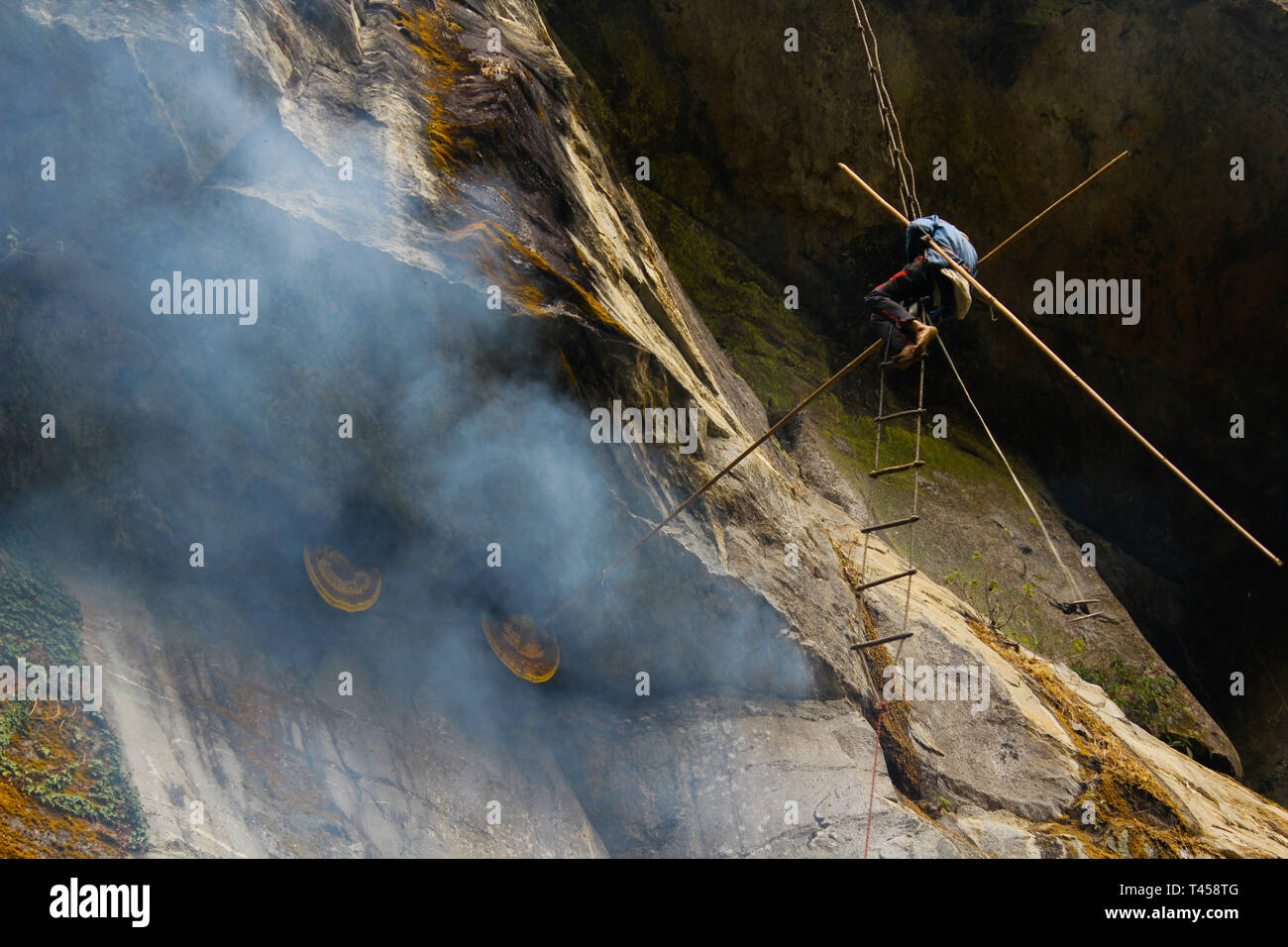 A hunter seen harvesting honey from the cliffs, hanging on the rope ...